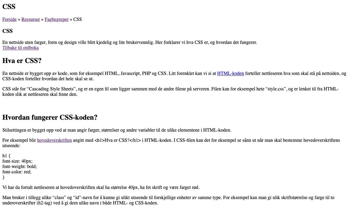 Hva er CSS og hva brukes det til? | Solid Media